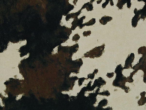 Art of the Loom : Cowhide